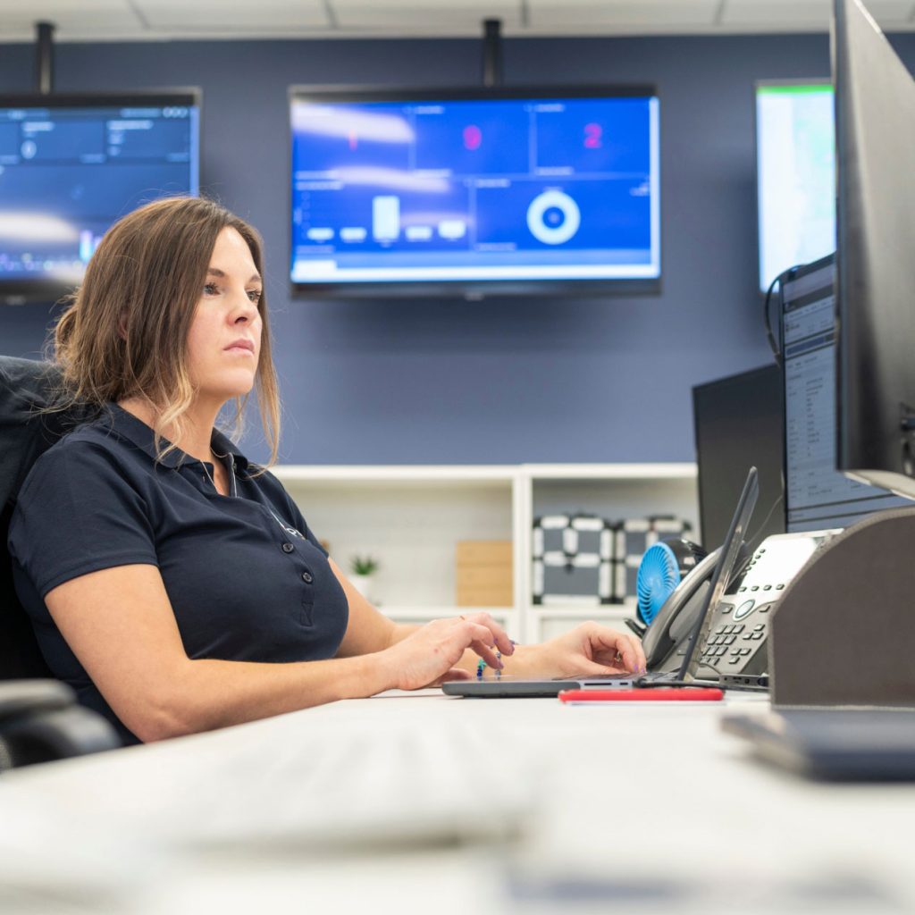 Security Design Services - Protos Networks
