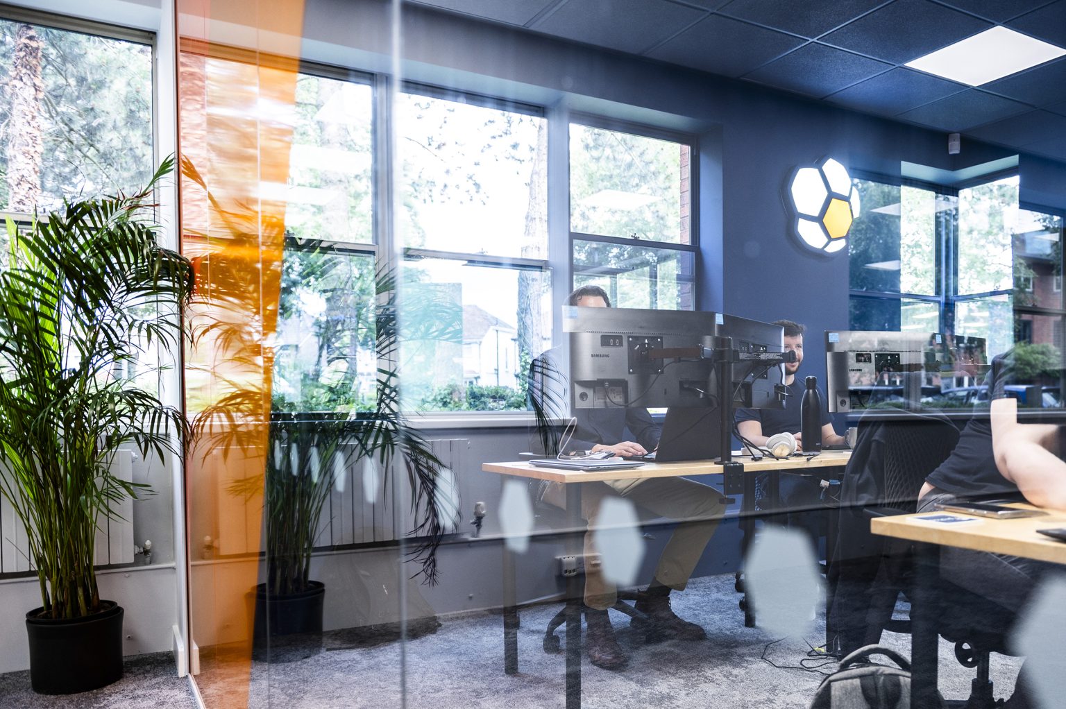 A Year in Review and What’s Ahead - Protos Networks